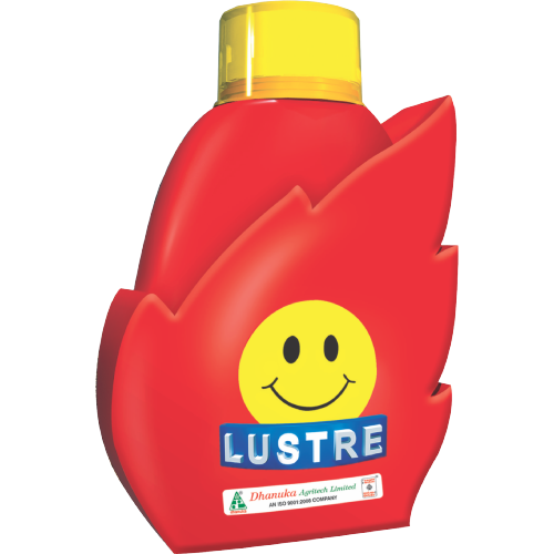 Lustre – OCS